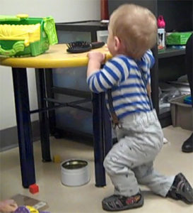 Developmental strategies for the preterm baby in the first year ...